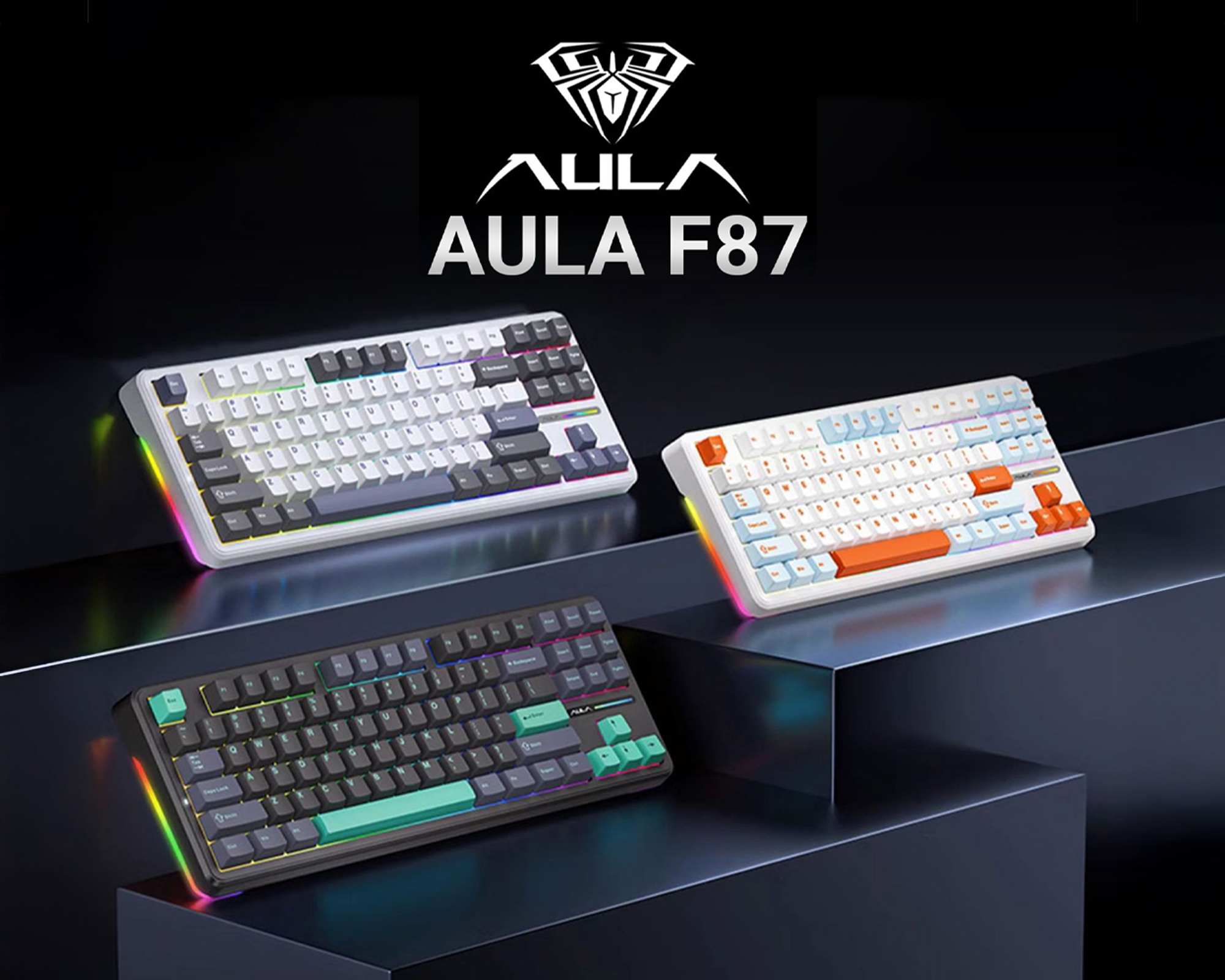 Aula F87 Mekanik TKL Kablosuz Makrolu Hot Swap Klavye